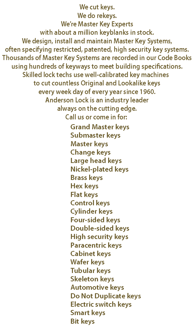 Anderson Lock is Cutting Edge | Concrete Poem | Chicago, IL